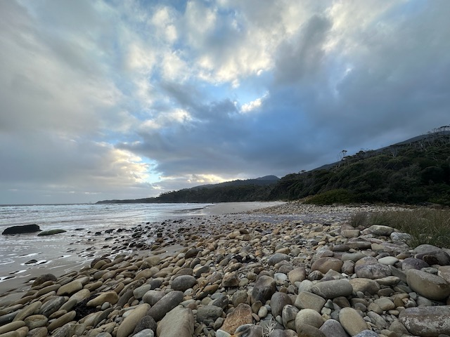 Turua Beach (Again) (10) - Pickledeel